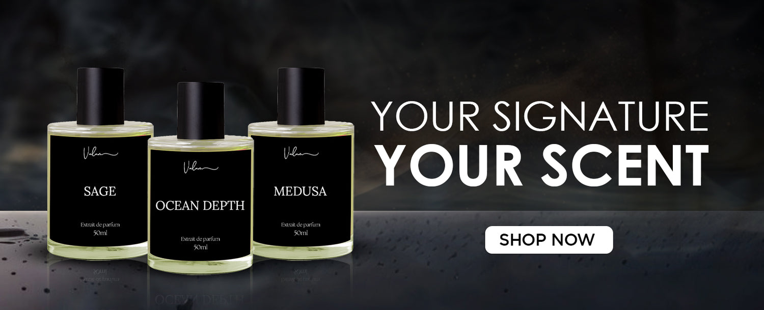 Best Long Lasting Perfumes Online in Pakistan – Valam Perfumes